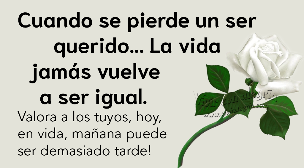 Cuando perdemos un ser querido… | Vivir con alegría